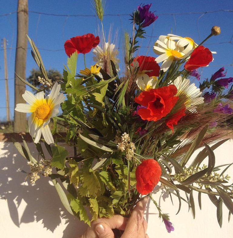 Dia da Espiga - A sua origem, história e significados